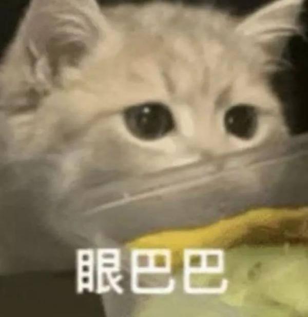 表情包 你忙吧别特地抽空敷衍我 知乎