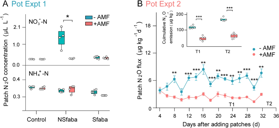 Microbiome | 中国农业大学研究揭示菌根真菌协同菌丝际微生物减少微生境中一氧化二氮的排放！ - 知乎