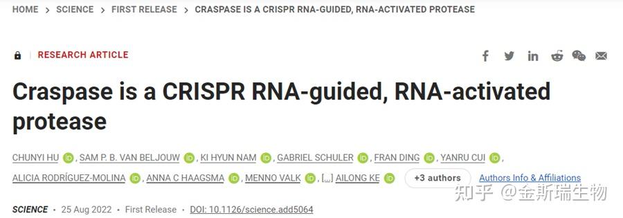 CAR-T之父领衔！新型双链CAR-T实体瘤疗法申报临床；中科院团队创造世界首个染色体融合小鼠 - 知乎
