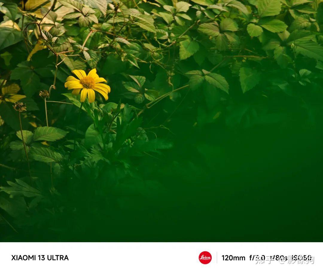 小米13Ultra手机影像测评：作为一台相机，ta表现如何？ - 知乎