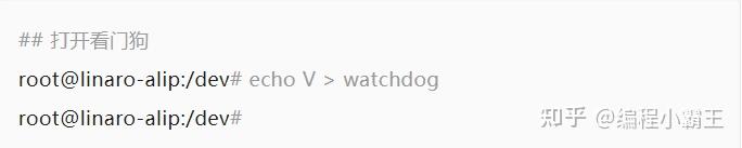 Linux驱动之watchdog - 知乎