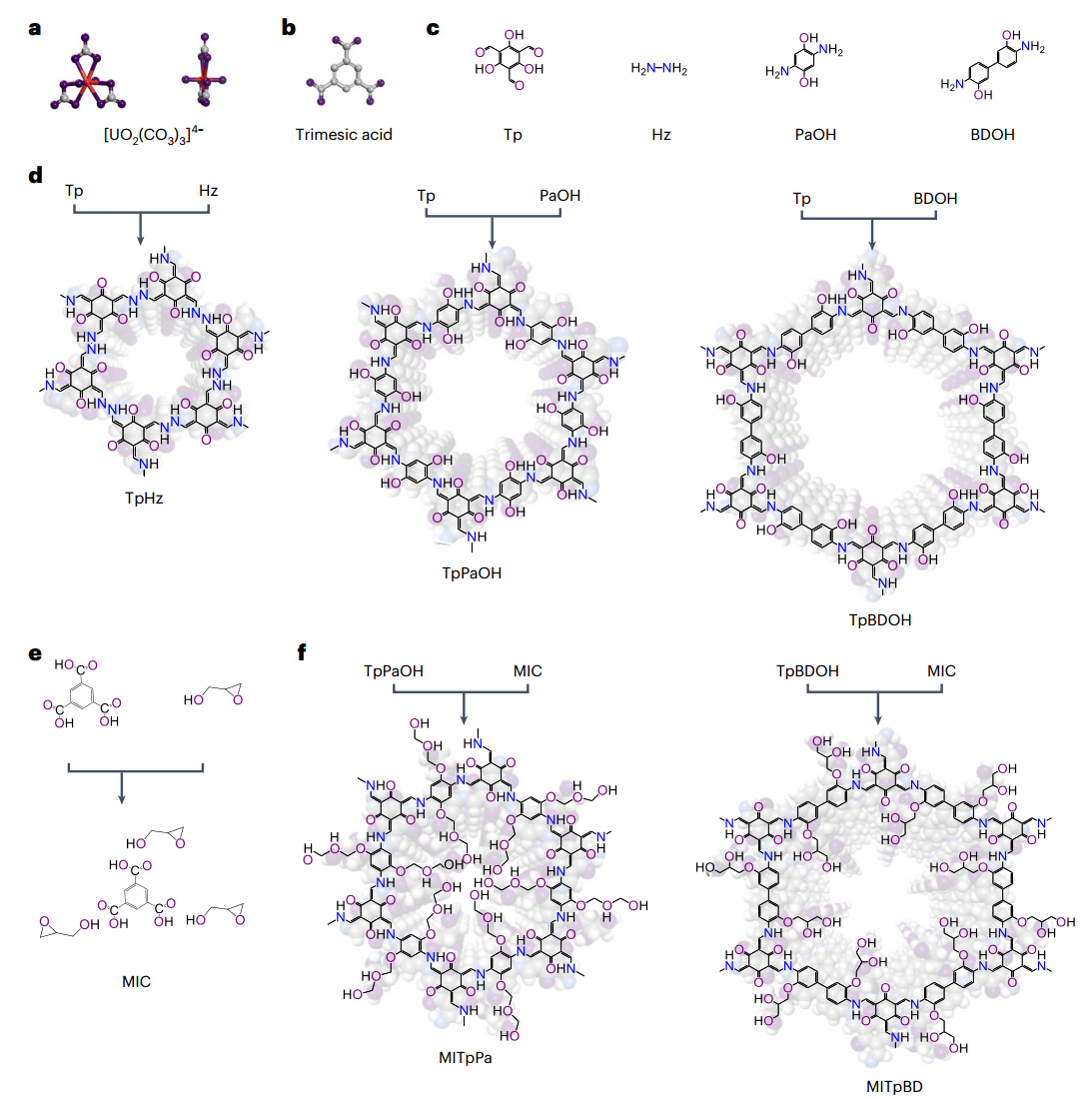 【东北师范大学】朱广山教授Nature Water | 构建协同多重动态键从海水中高效提取铀 - 知乎