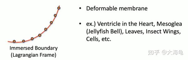 浸入边界法 (Immersed Boundary Method) - 知乎
