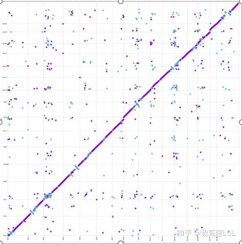 基因组共线性画图软件NGenomeSyn使用体验 - 知乎