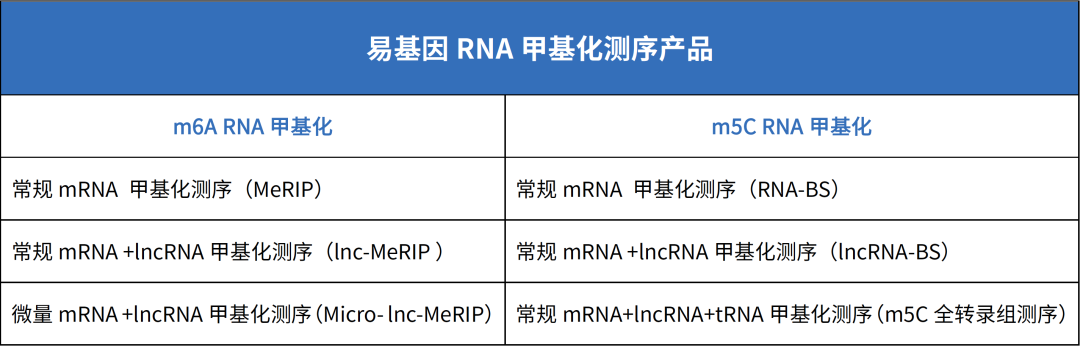 RNA m6A 甲基化修饰的功能和主要研究方向 | 易基因 - 知乎
