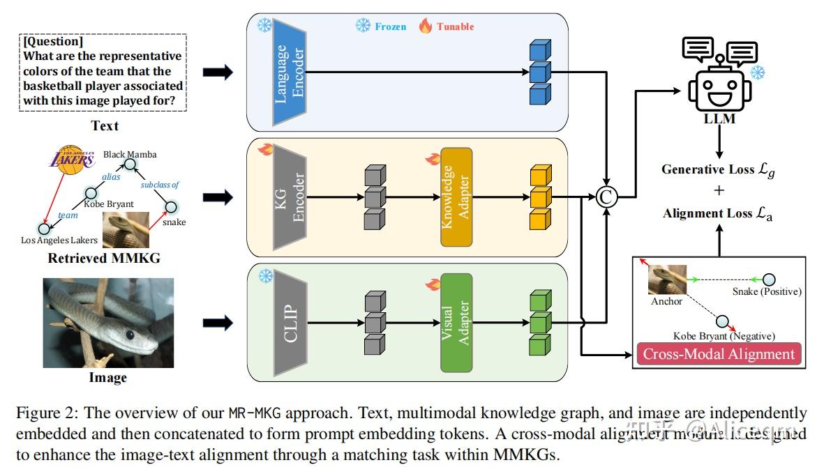 2024-ACL-Multimodal Reasoning with Multimodal Knowledge Graph - 知乎