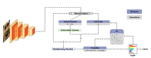 深度长尾学习综述 - Deep Long-Tailed Learning: A Survey - 知乎