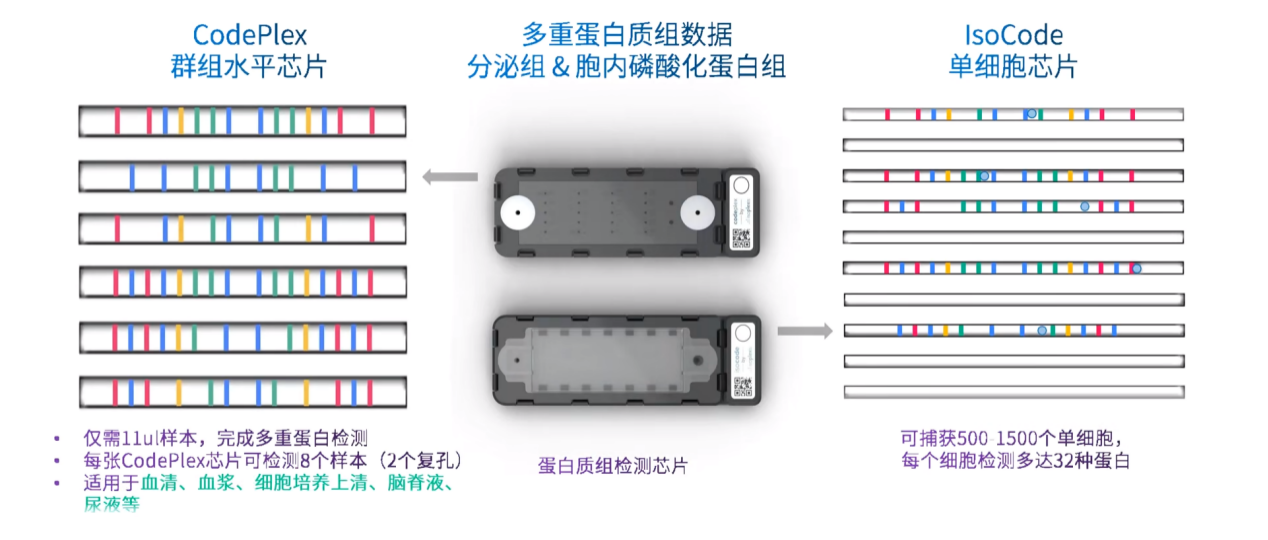 一文解锁IsoPlexis 全自动单细胞功能蛋白质组学分析系统！-上海玮驰仪器有限公司