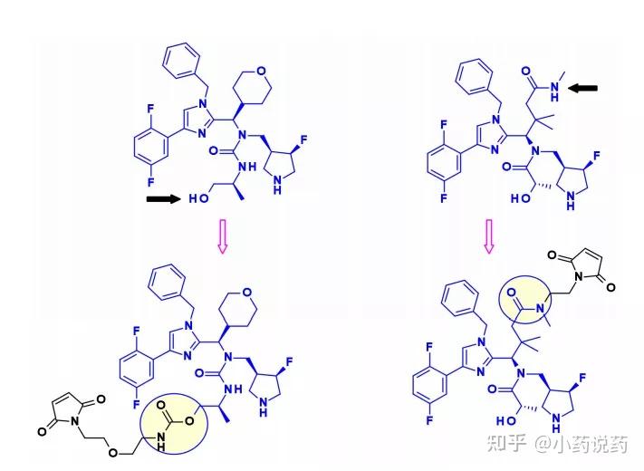 收藏！ADC全景概况（payload，linker，conjugate和Endocytosis） - 知乎