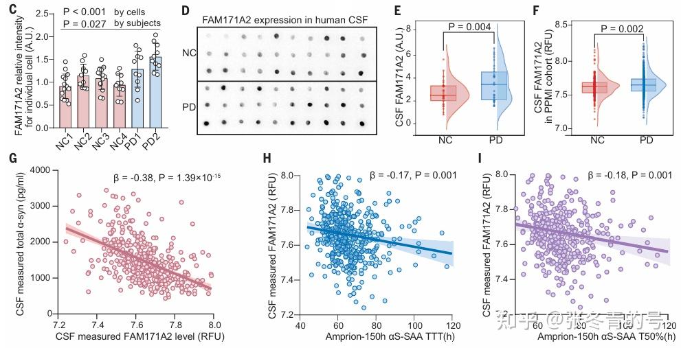 神经元FAM171A2介导α-突触核蛋白纤维摄取并驱动帕金森病 - 知乎