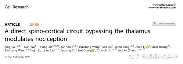 Cell Research︱广东省智能院张旭研究团队发现一条传导痛觉的脊髓-皮层直接通路 - 知乎