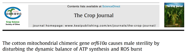 细胞器基因组|比较基因组分析助力深度挖掘细胞器进化关系 - 知乎
