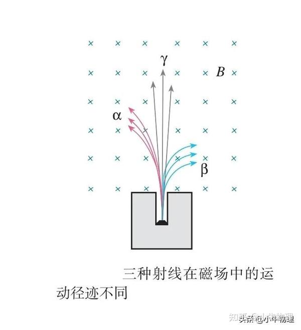 原子核的组成 知乎