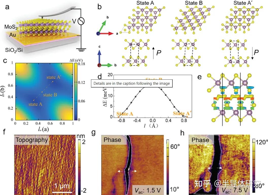 Advanced Materials |具有室温铁电性的双层 3R MoS2 的气相沉积 - 知乎