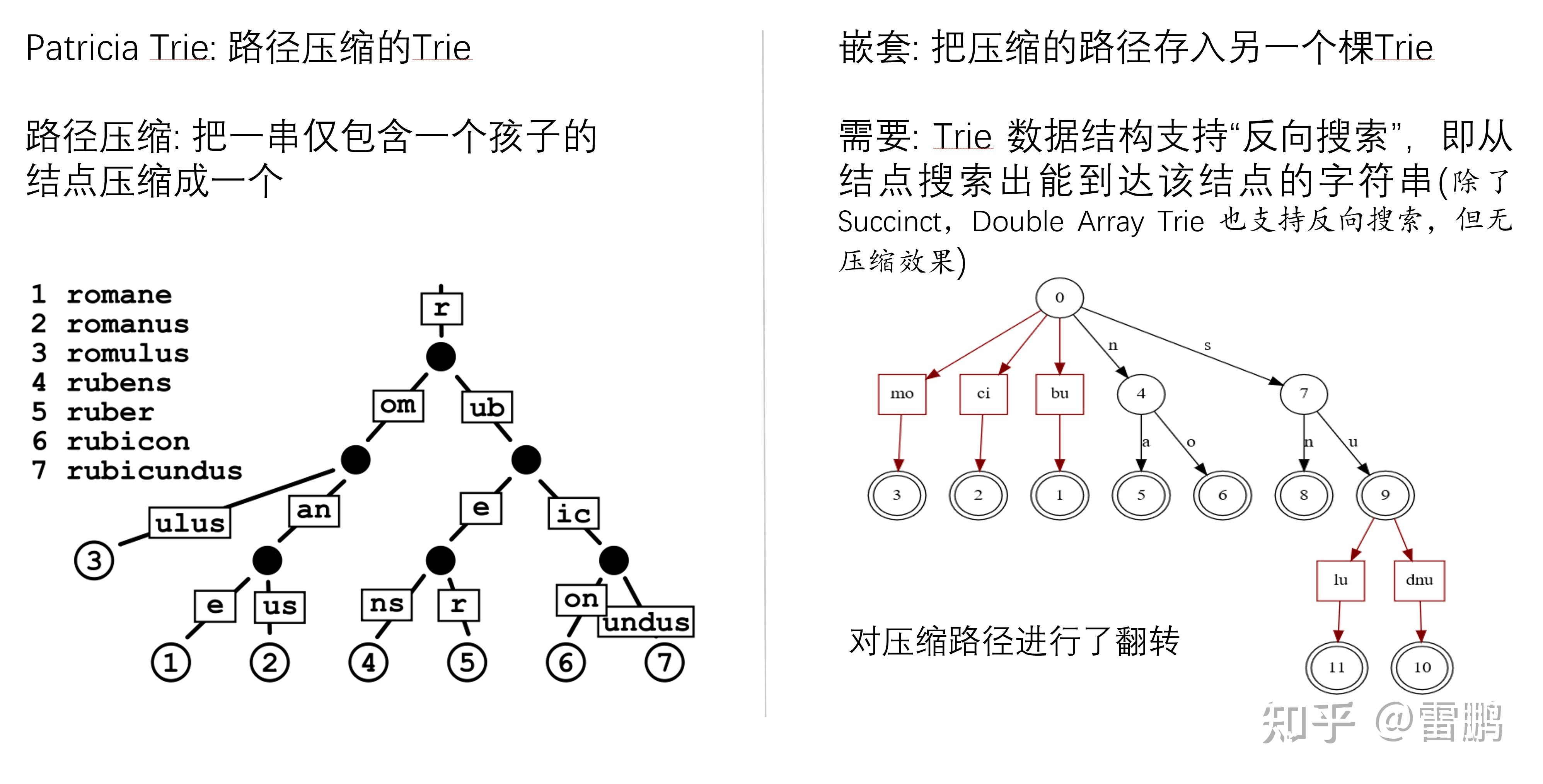ToplingDB NestLoudsTrie 索引 - 知乎