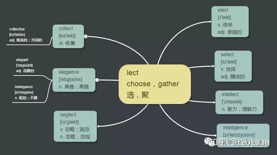 每天1分钟背单词 词根 lect - 知乎