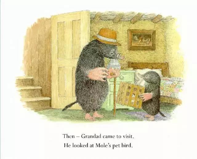 绘本故事 | Mole And The Baby Bird - 知乎