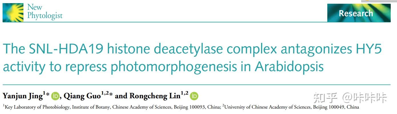 文献解读-组蛋白去乙酰化酶复合体SNL-HDA19 通过拮抗HY5 活性抑制拟南芥的光形态建成 - 知乎
