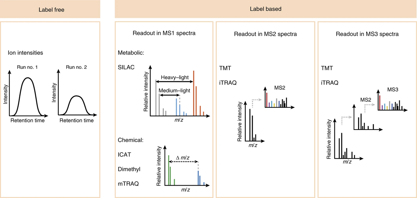 MaxQuant 用于对大型 SILAC 数据集进行深入分析 - 知乎