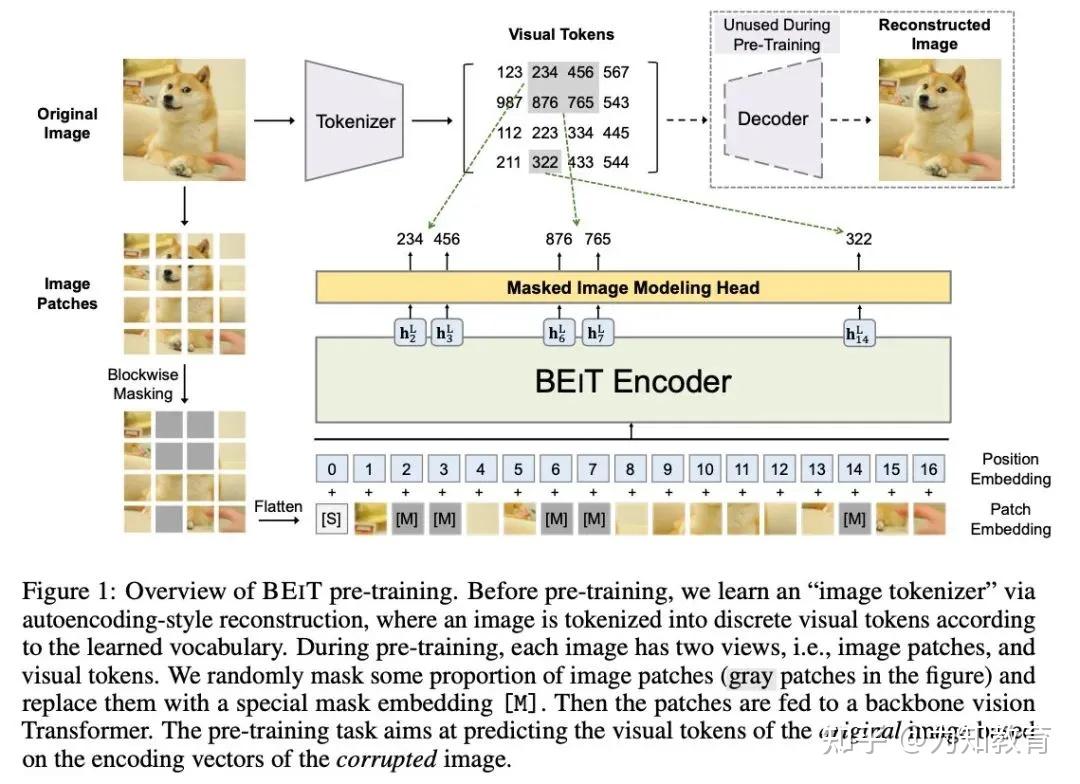 何恺明新作MAE解读-iGPT、ViT和BEiT - 知乎
