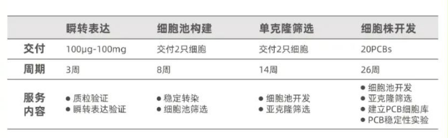 CHO-K1BN细胞株助力抗体药物开发 - 知乎