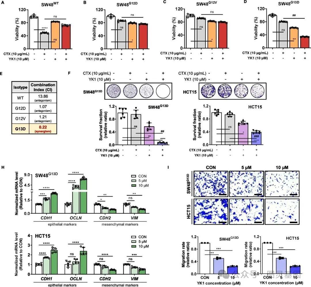 Mol Cancer | 突破性发现：靶向 HER2-ELF3-KRAS 轴为 KRAS G13D 结直肠癌提供精准治疗新策略 - 知乎