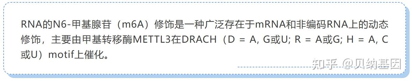 Molecular Cell详解：直接RNA测序（Direct RNA测序，DRS）揭示m6A在RNA 异构体上的复杂性 - 知乎