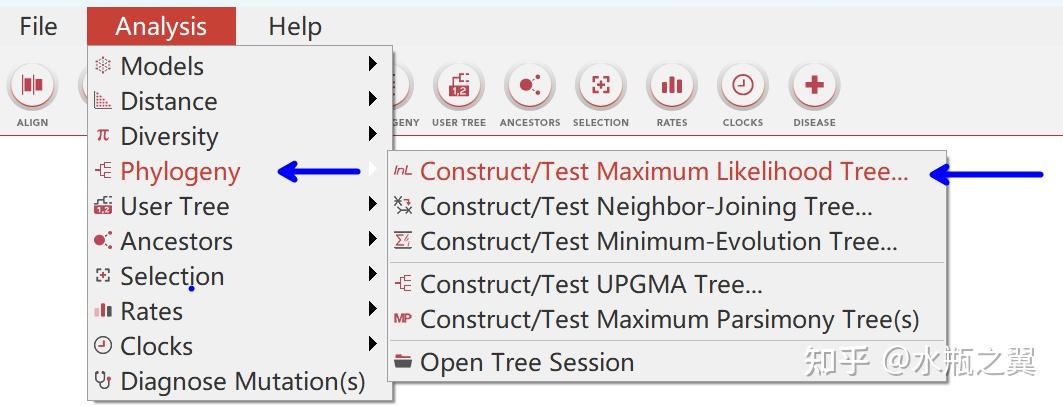 手把手教你绘制进化树（理论与实践） - 知乎
