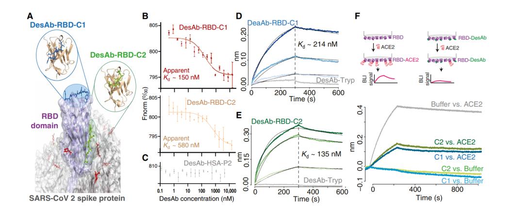 Science Advances | 基于片段的、针对结构化表位的抗体计算设计 - 知乎