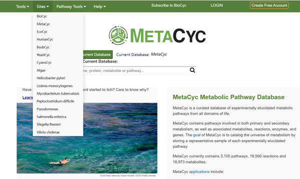 MetaCyc、KEGG傻傻分不清？ - 知乎