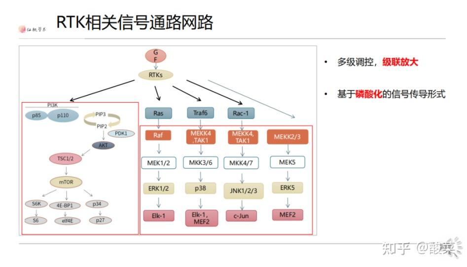 记住了但没完全记住？MAPK、PI3K、NF-κB…搞定12大信号通路的利器又多一个！ - 知乎