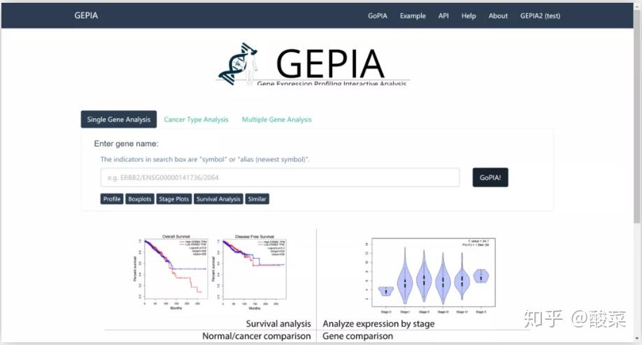 干货来啦！肿瘤生信挖掘必备数据库大合集！看这篇就够了！ - 知乎