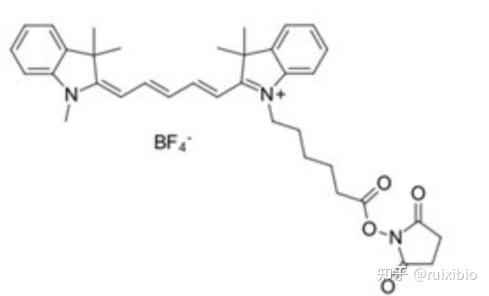 Cyanine5 NHS ester 近红外染料CY5标记N-羟基琥珀酰亚胺 CAS：1032678-42-4 - 知乎