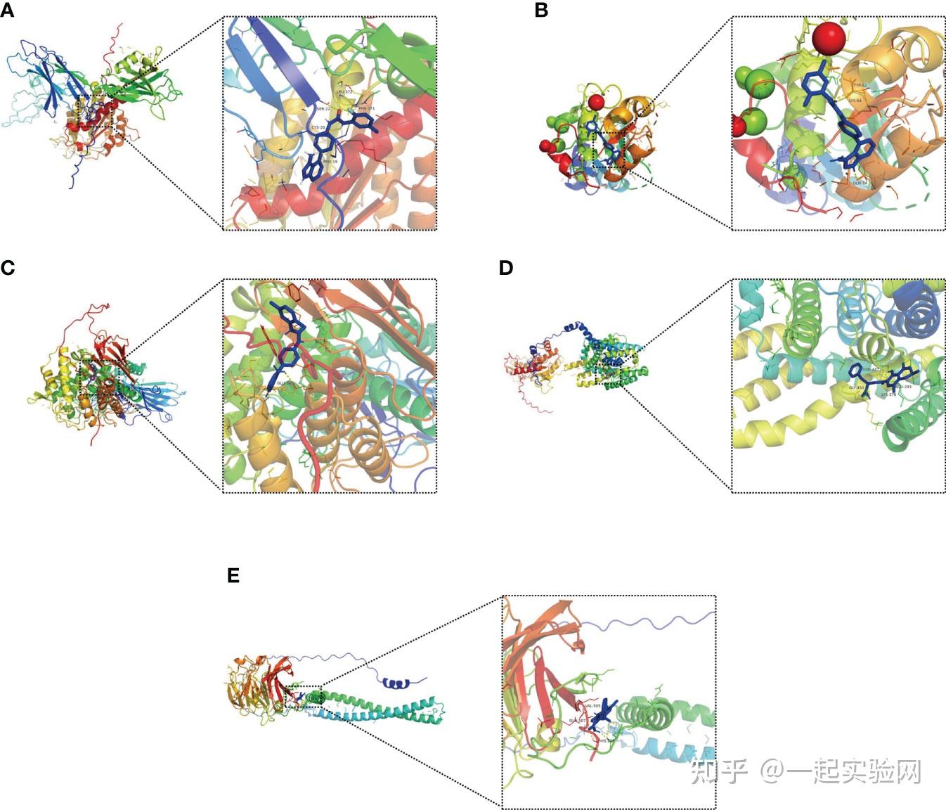 8+！胆碱代谢方向，构建癌症预后模型 - 知乎