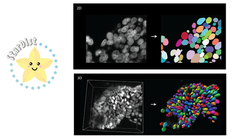 ImageJ实用教程——DeepImageJ（插件篇） - 知乎