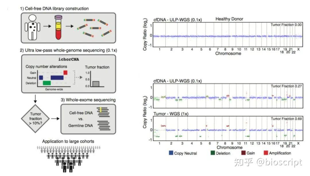 ichorCNA ：通过隐马尔可夫模型 (HMM)，从cfDNA中预测大规模拷贝数改变 - 知乎