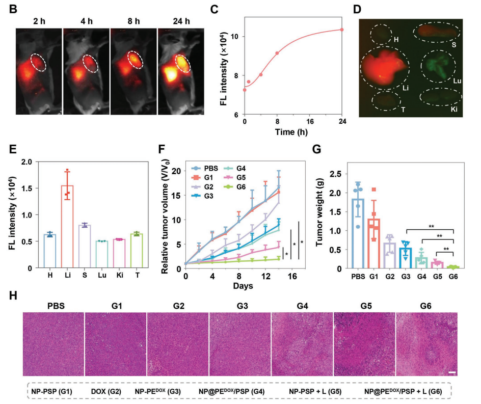 聚合物探针 | 集成了NIR-II荧光生物成像、光动力免疫治疗和光激活化疗的可降解仿半导体聚合物纳米颗粒 - 知乎