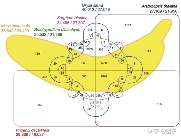 python画venn图(新角度复刻) - 知乎