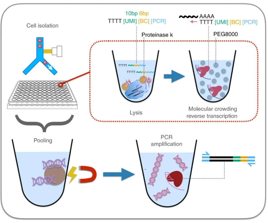 【豪克博士聊科研】教你单细胞测序（五）操作流程（4） - 知乎