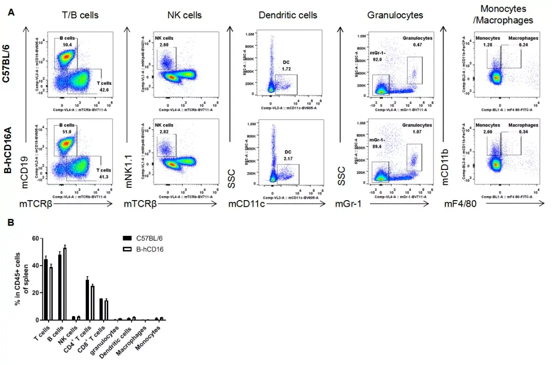 靶向CD16A，激活先天免疫系统的ADCC效应 - 知乎