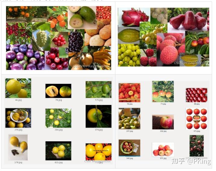 Fruit-Dataset水果数据集+水果分类识别训练代码(支持googlenet, resnet, inception_v3 ...