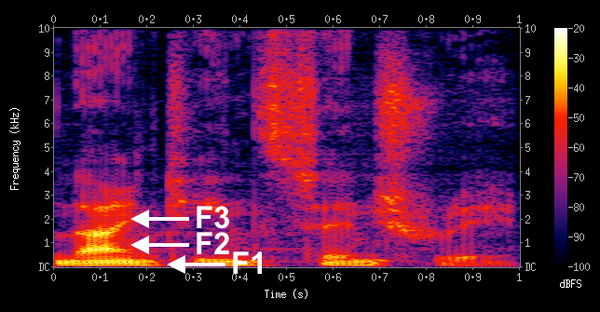 QQ音乐大咖说：如何透过阅读时频谱(spectrogram)，解读人声发音？ - 知乎