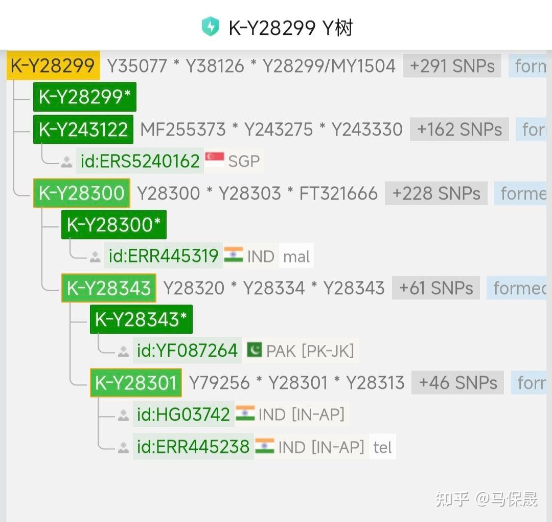 K2a-M2308的起源和迁徙 - 知乎