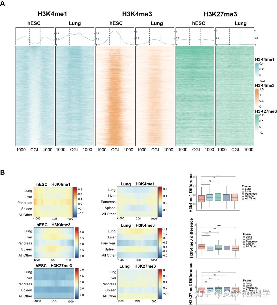 Cell Biosci︱中山大学李昕/蒋璇团队揭示在发育过程中组蛋白修饰H3K4me1在二价启动子上的新作用 - 知乎