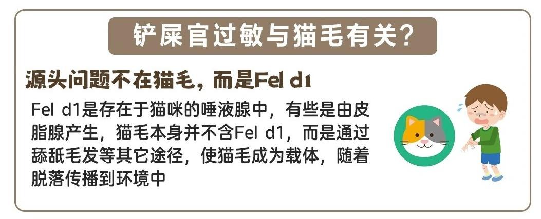 早研究猫过敏源的品牌，洛卫家如何通过IgY抗体降低猫毛过敏源？ - 知乎