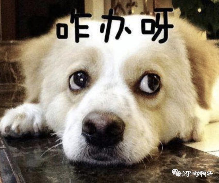 Spring Boot使用ApplicationEvent来实现事件发布订阅功能(美女一个都不能少，都要通知到) - 第420篇 - 知乎