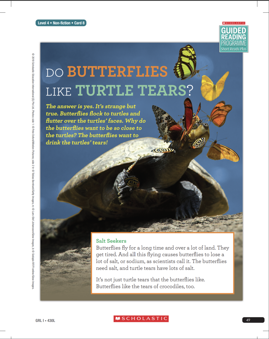 Scholastic Guided Reading Short Reads Plus 学乐深度阅读 分级阅读教学 Level 1-9 教材 ...