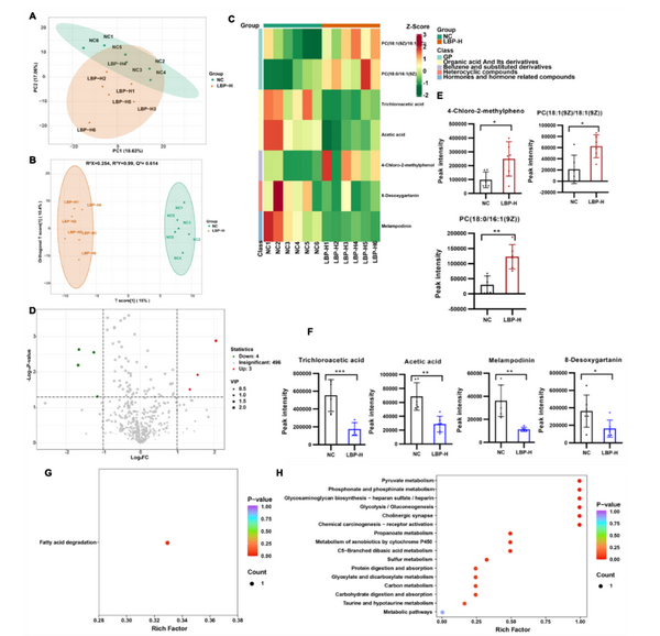 文献解读|肝肠轴新发现—枸杞多糖能够预防非酒精性脂肪肝 - 知乎