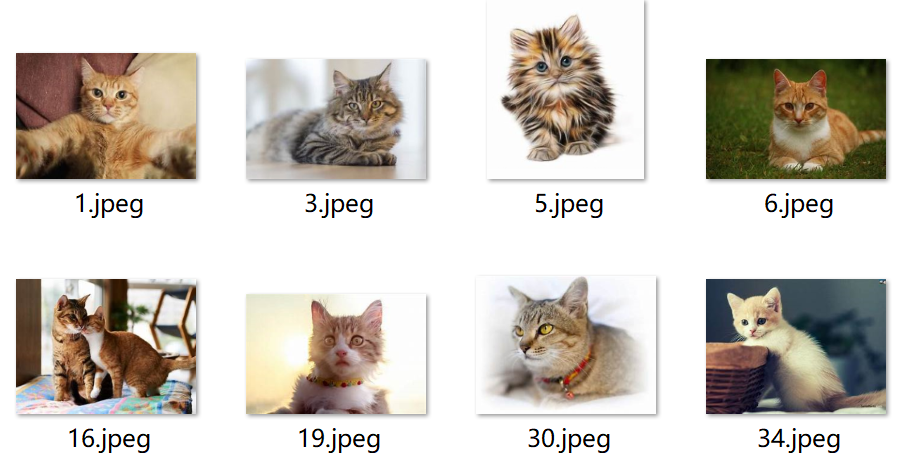 基于python+ResNet50算法实现一个图像分类识别系统 - 知乎