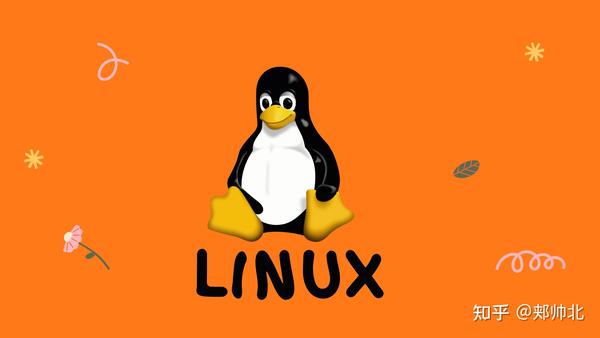 Linux系统入门与实践：一篇详细的教程和指南【持续更新】 - 知乎